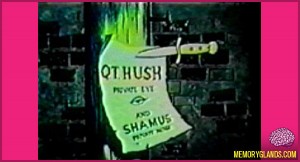 Q.T. Hush : Memory Glands – Funny Nostalgic Photos